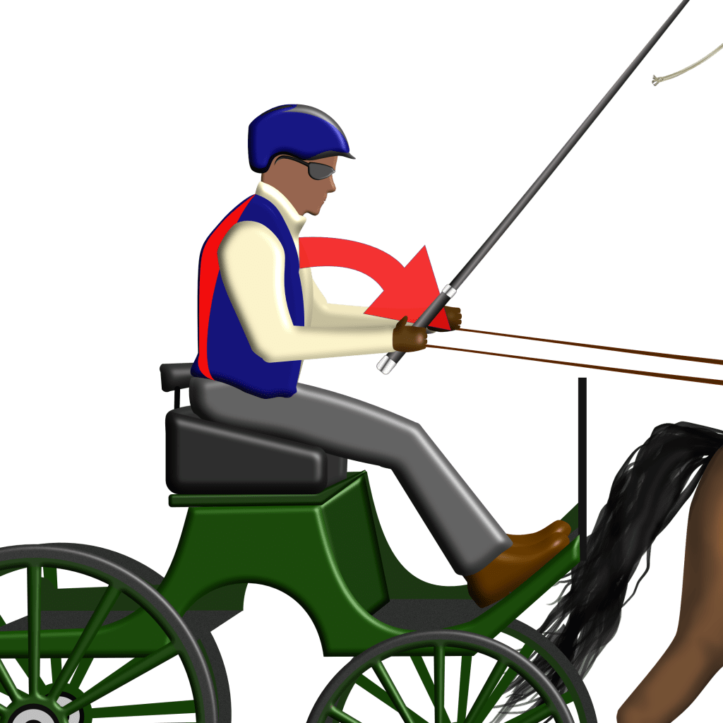 Looking Ahead | Coachman's Delight