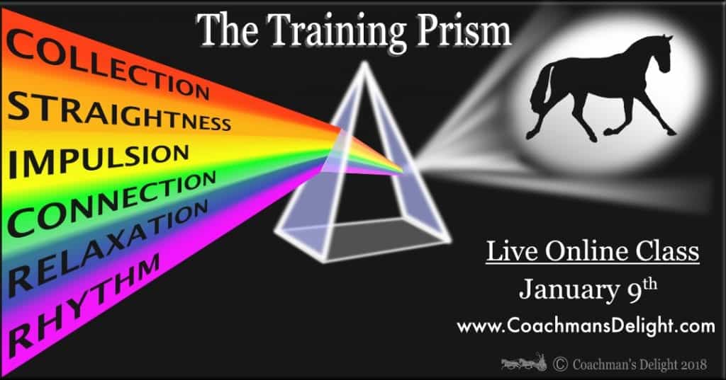 The Training Prism | Coachman's Delight